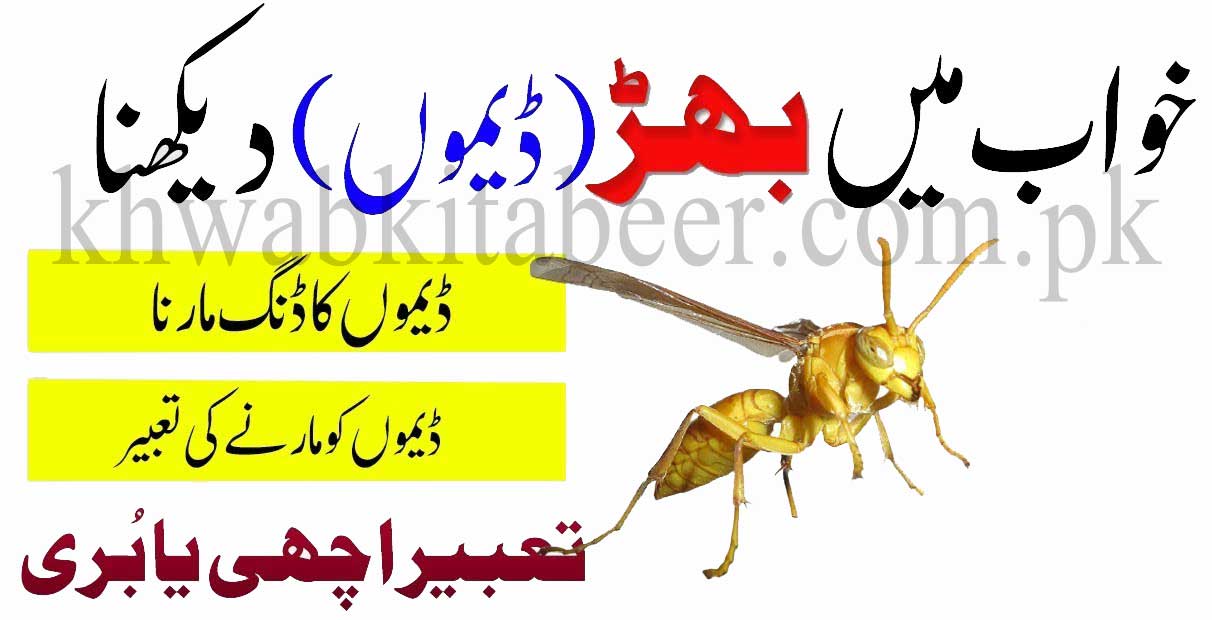 khwab mein bhir dekhna - Khwab ki tabeer