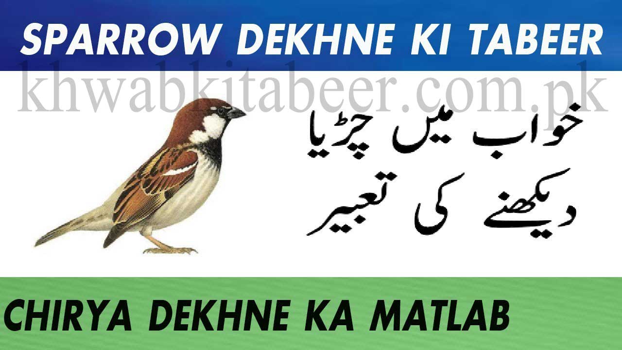 khwab mein chirya dekhna - Khwab ki tabeer